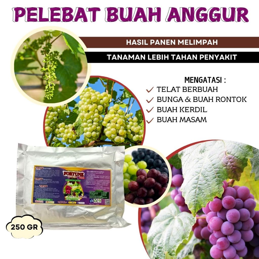 Jual Pupuk Booster Anggur Cepat Berbuah, Booster Anggur 250 gram perangsang buah Anggur | Shopee ...