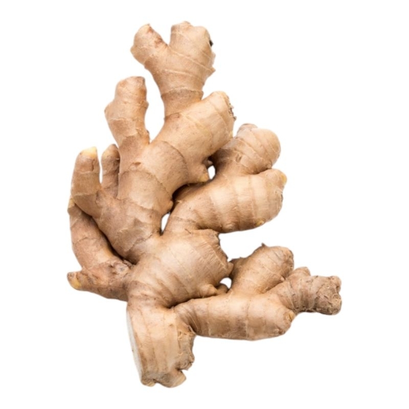 Jual Jahe emprit/ Jahe kampung 250g/500g/1 kg | Shopee Indonesia