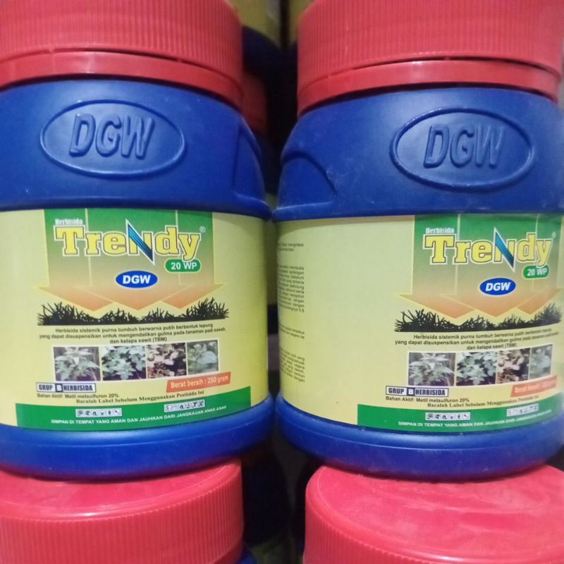 Jual Trendy 20 WP 250 gram original | Shopee Indonesia