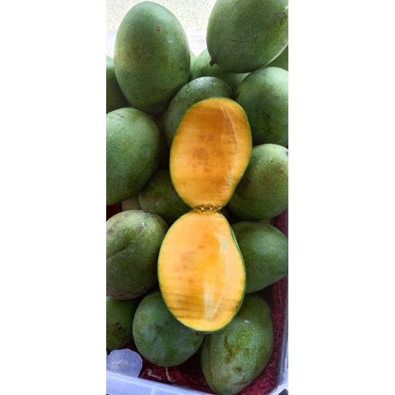 Jual mangga manalagi matang 1kg | Shopee Indonesia