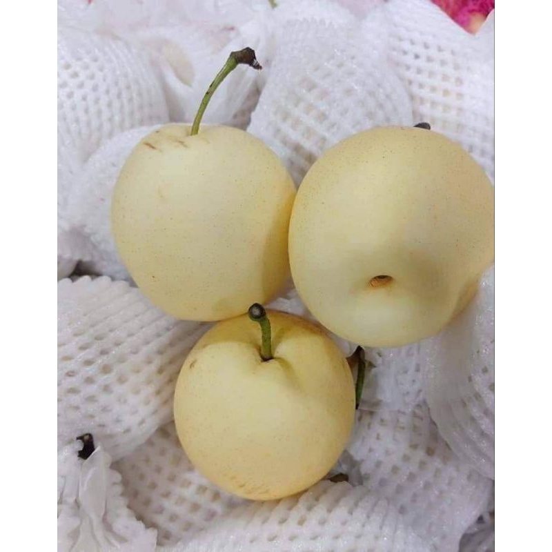 Jual pear Century madu Fress 1kg | Shopee Indonesia