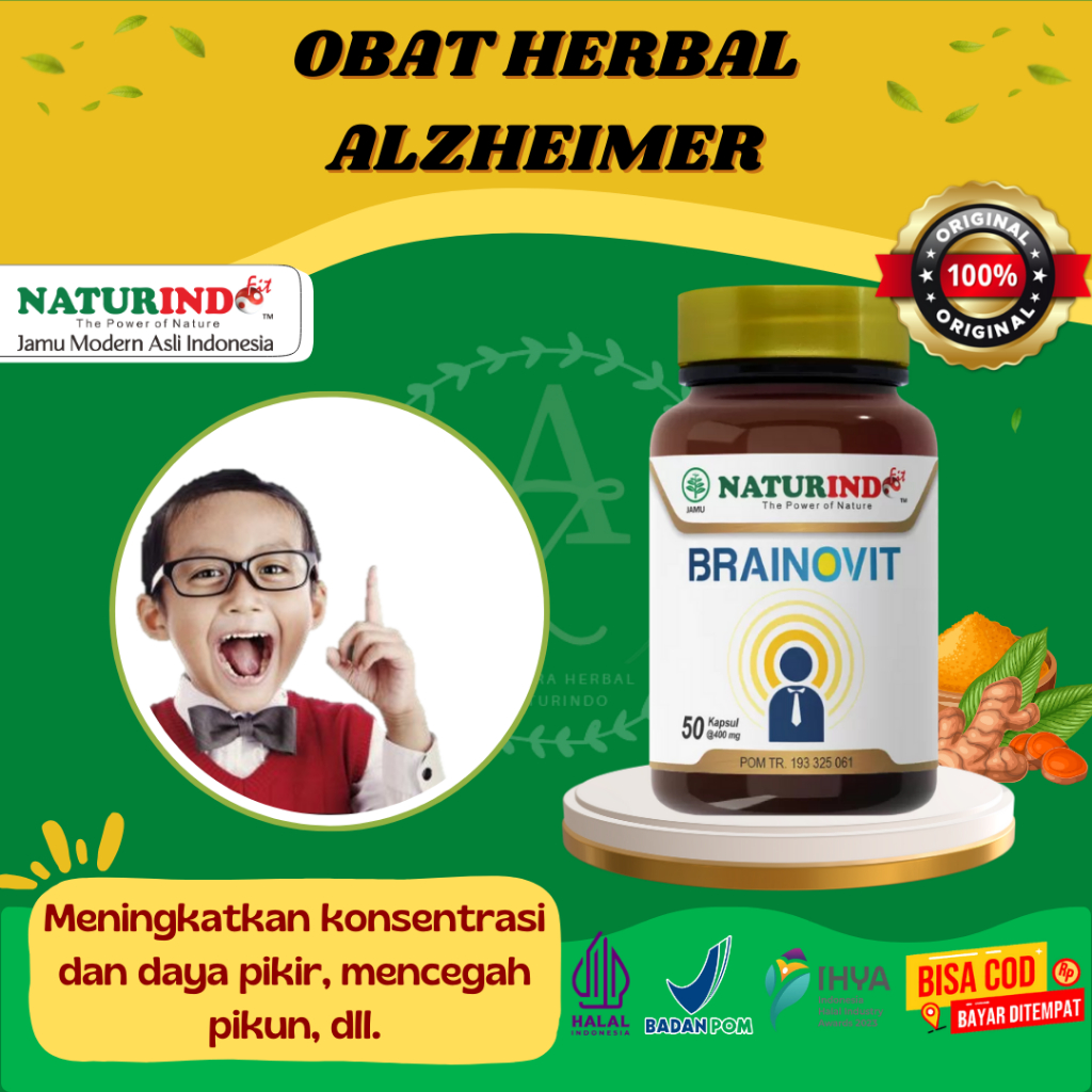 Jual Vitamin Otak Nutrisi Otak Obat Herbal Meningkatkan Daya Ingat Otak ...