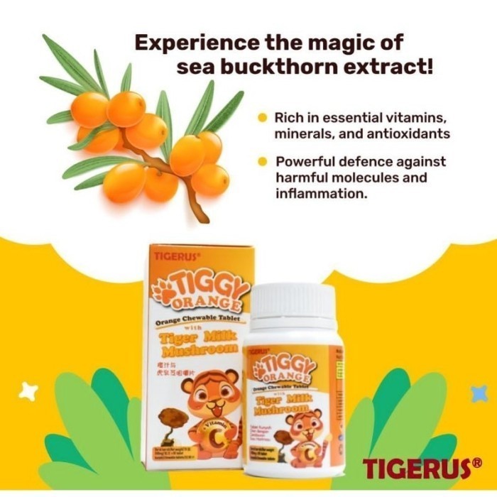Jual Vitamin Anak Imun Tubuh Bapil Tigerus Tiggy Orange Chewable 80 tab ...