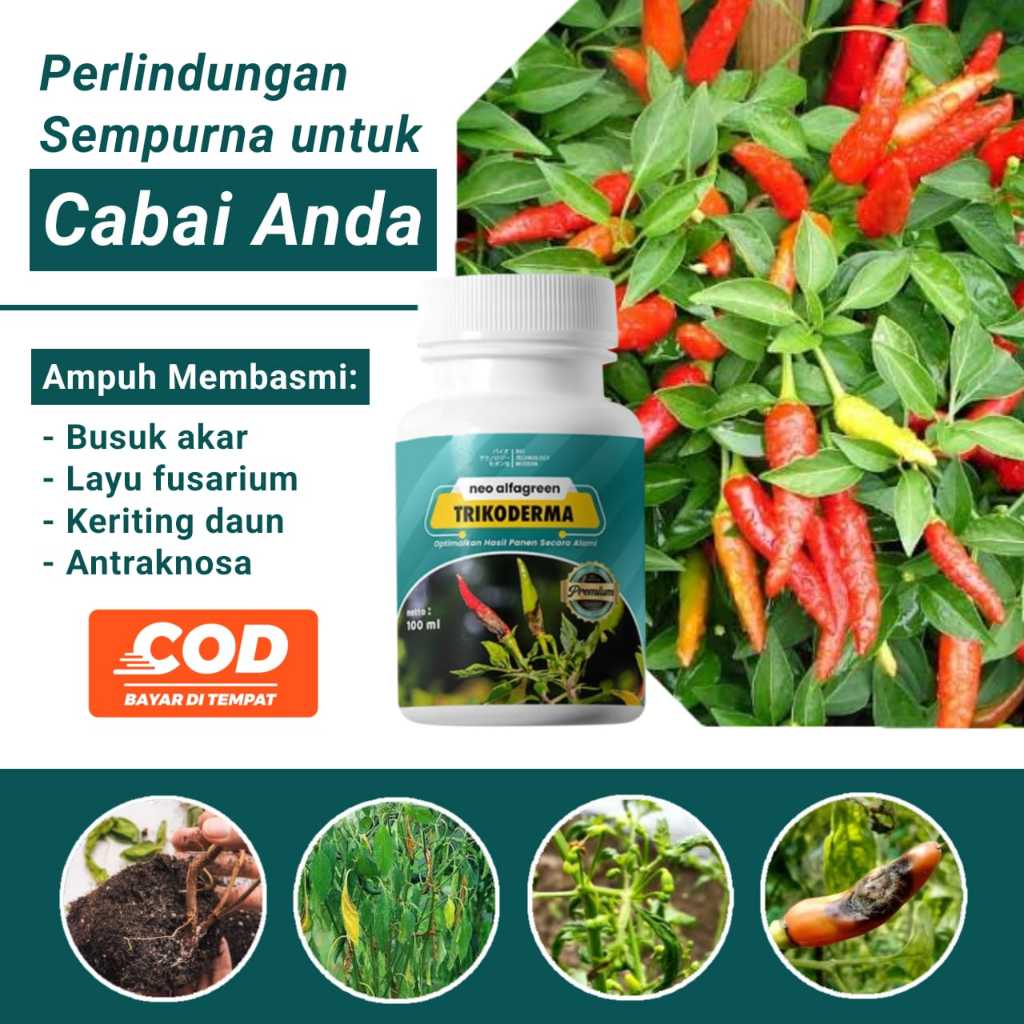 Jual Neo Trikoderma Pupuk Organik Fungisida Penghancur Jamur dan Busuk ...