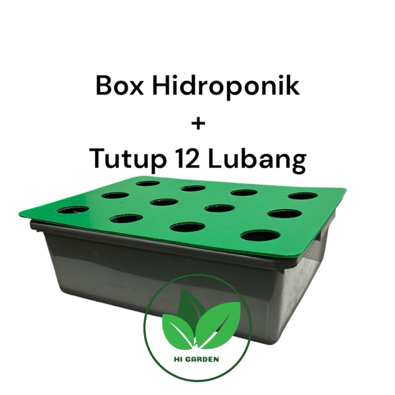 Jual Box Hidroponik Dengan Tutup 12 Lubang | Shopee Indonesia