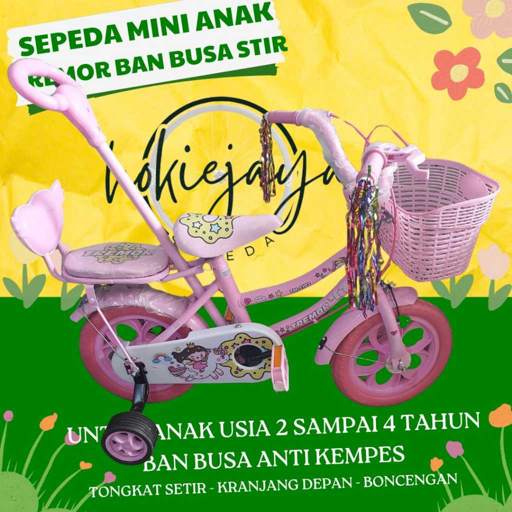 Jual Sepeda Anak Mini VELION 12 I BAN BUSA anti kempes - Keranjang ...