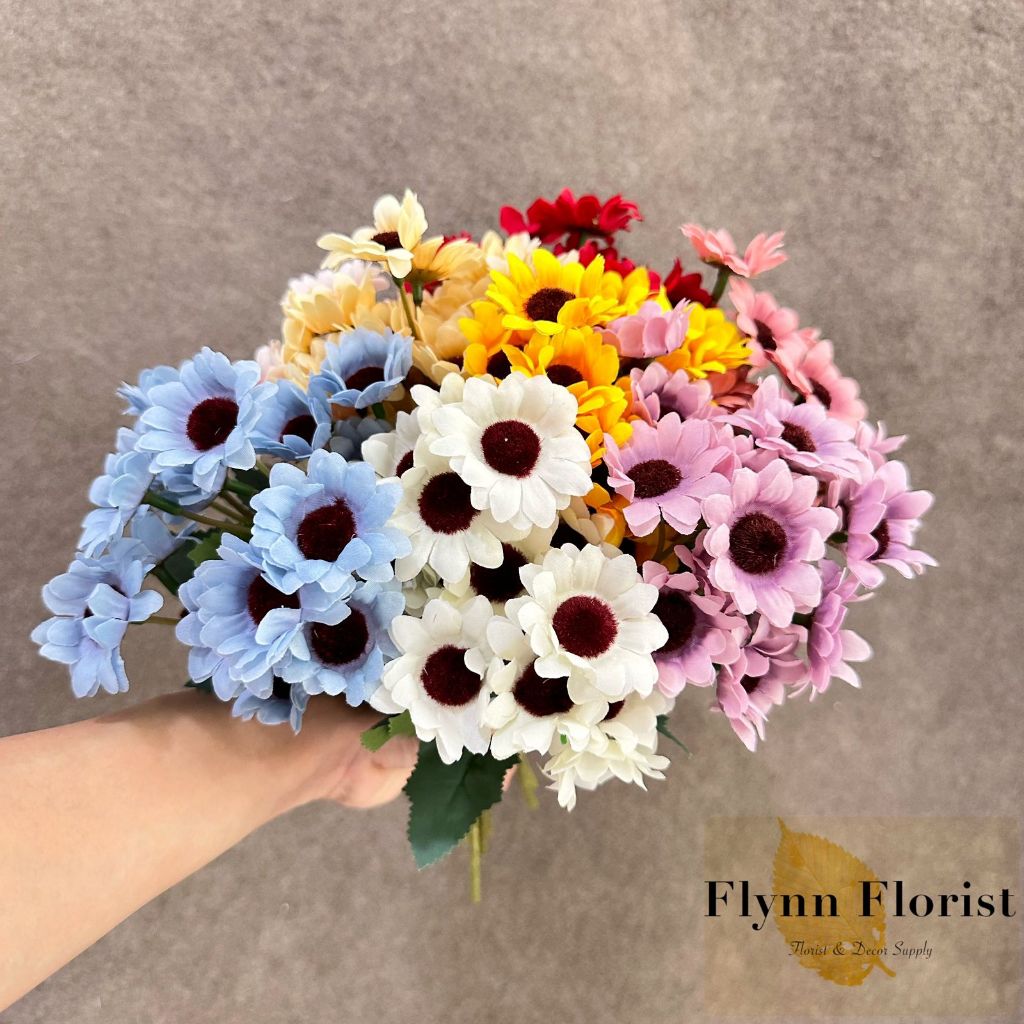 Jual Bunga Aster Mini Eropa Cabang 5 (Satuan) Bunga Daisy Anyelir Pikok ...