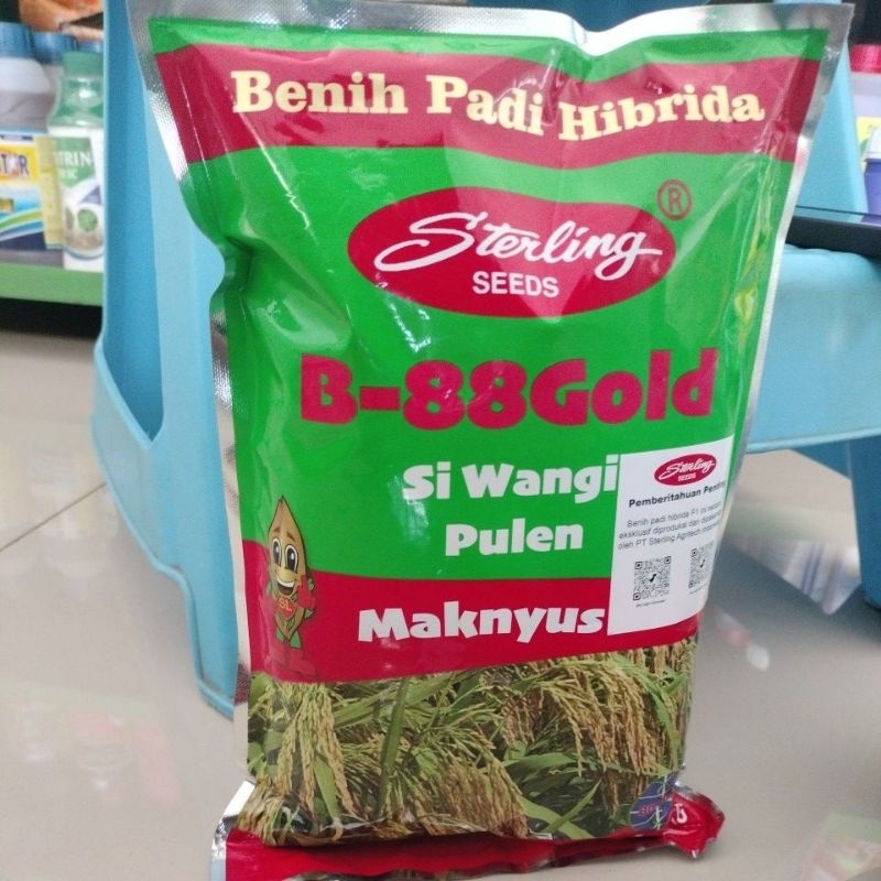 Jual benih padi hibrida Sterling seeds B-88GOLD si wangi pulen maknyus ...