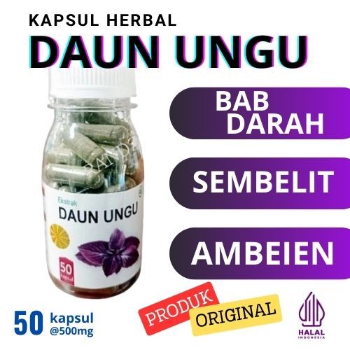 Jual wasir tuntas sampai akar herbal daun ungu kapsul atasi bab ...