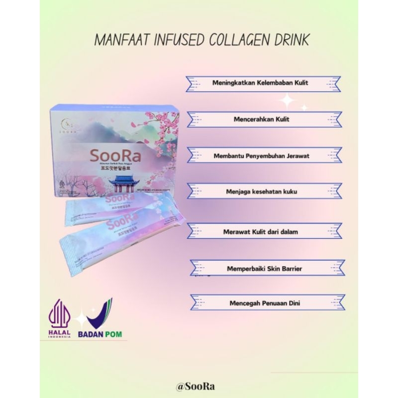 Jual SOORA COLLAGEN - GRAPE POWDER DRINK - 1 BOX 10 SACHET | Shopee Indonesia