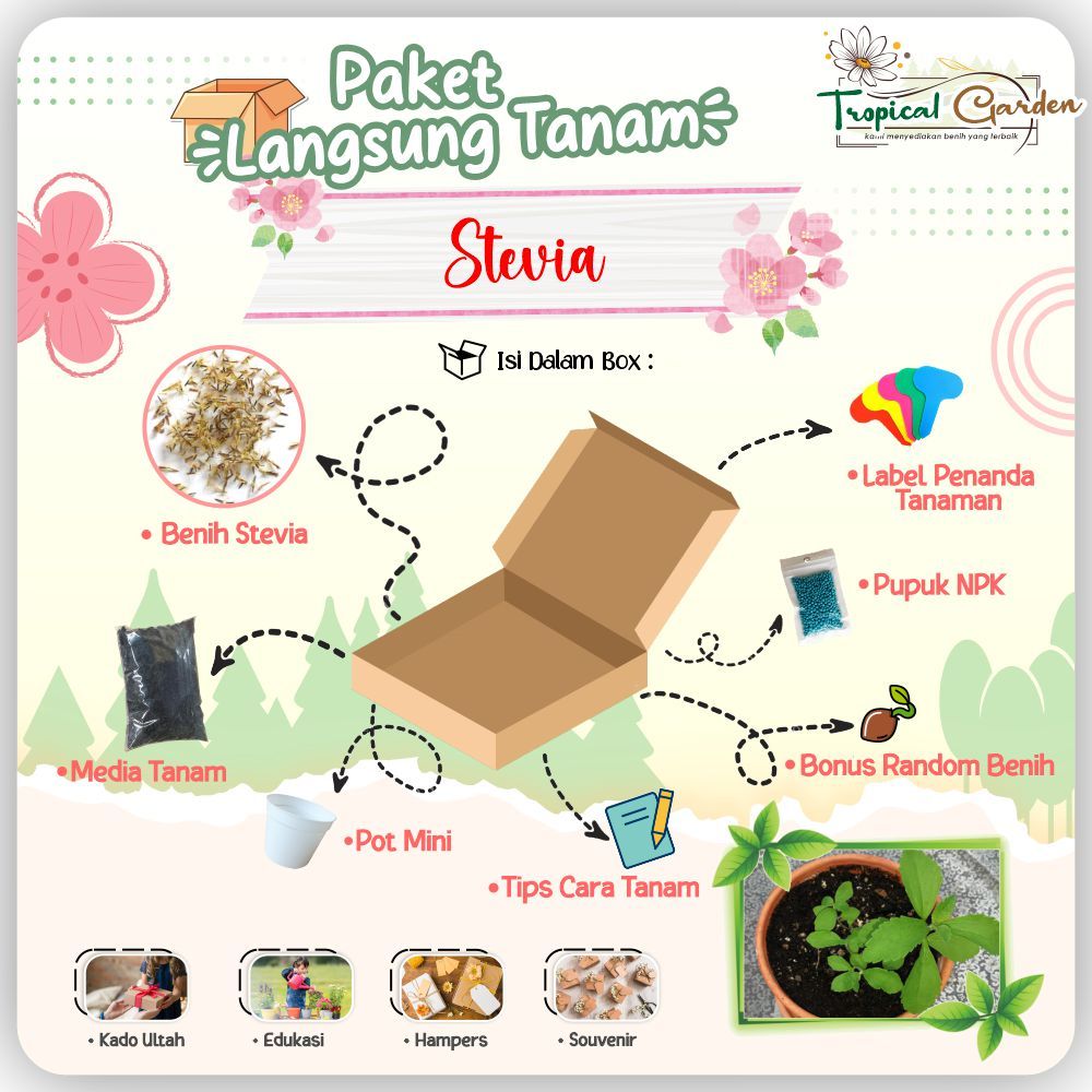Jual Tropical Garden Stevia Hampers DIY Gardening Kit / Paket Berkebun ...