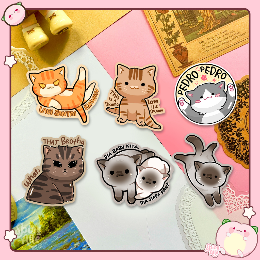 Jual cat kucing sticker orange himalaya meme | Shopee Indonesia