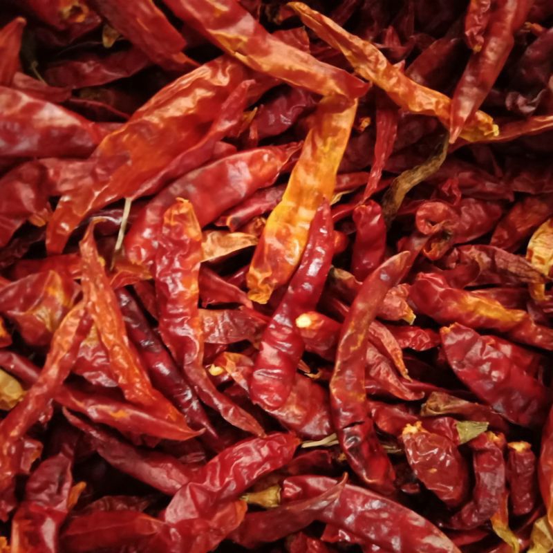 Jual Cabe Kering Teja Asli 750gr Tanpa Tangkai Sambel Seblak Sangat ...