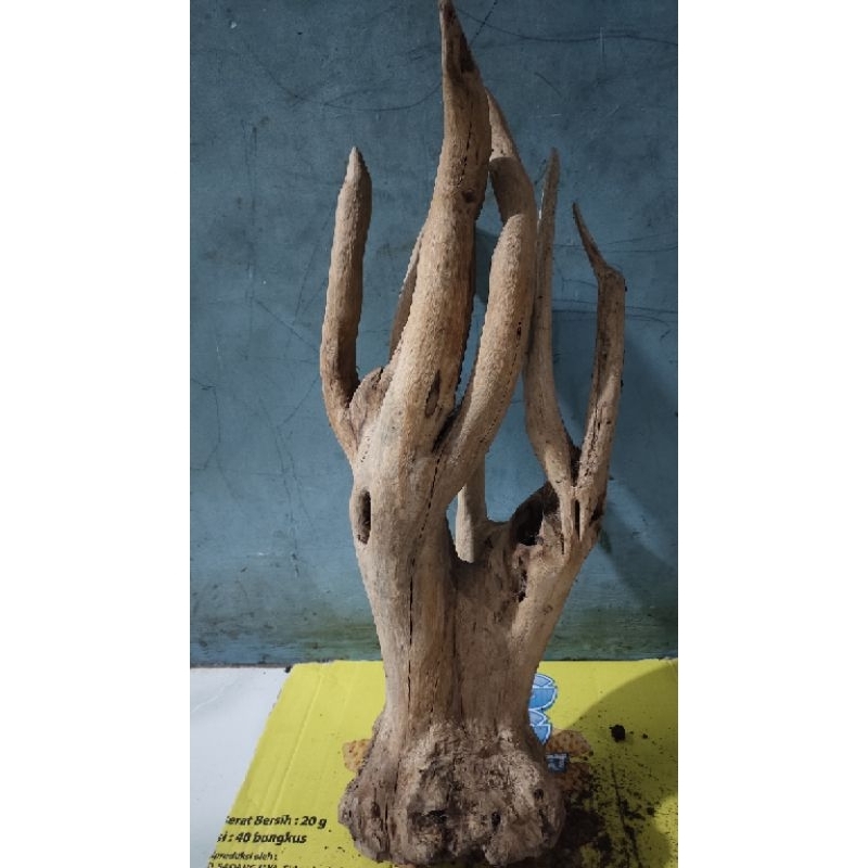 Jual kayu Gamal kering untuk dekorasi hiasan realpic sesuai gambar 5kg ...