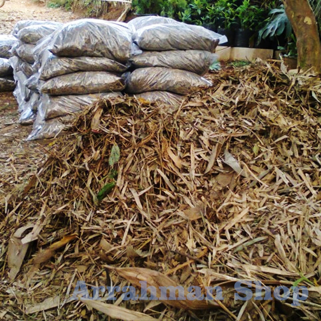 Jual daun bambu kering untuk media tanam/daun bambu kering untuk ...