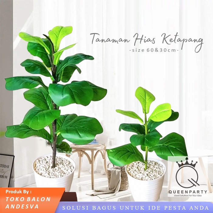 Jual Tanaman Hias Artificial Ketapang / Pohon Plastik Daun Ketapang ...