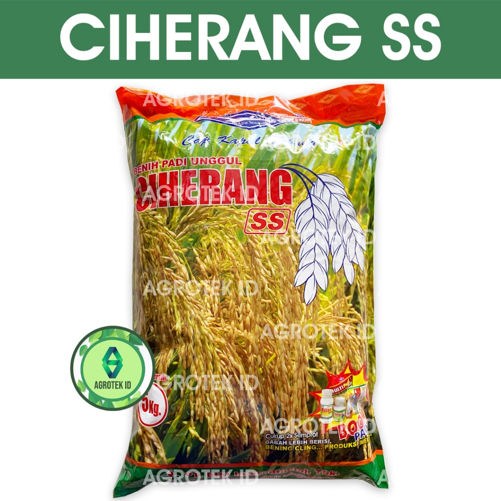 Jual Benih Padi CIHERANG SS 5 Kg Cap Kapal Terbang | Shopee Indonesia