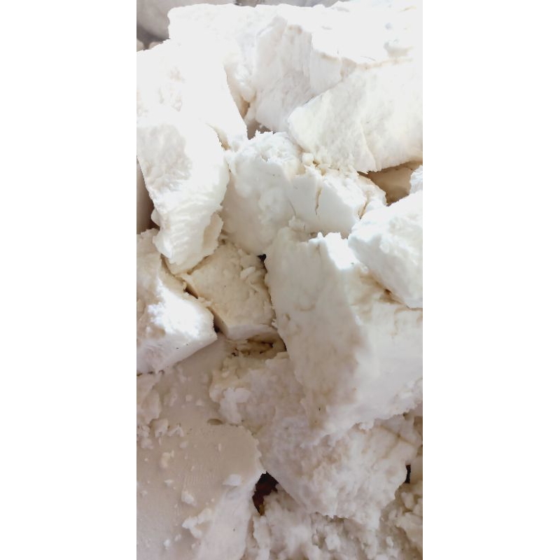 Jual sagu basah manta kiray/papeda/aren asli dari pohon sagu khas ...