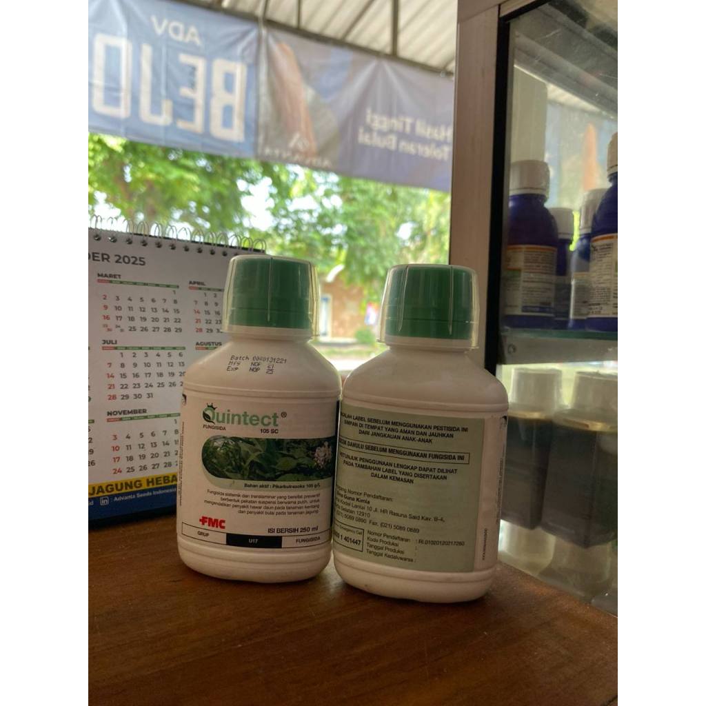 Jual FUNGISIDA QUINTECT 105 SC - Obat Pembasmi Hawar Daun Tanaman ...