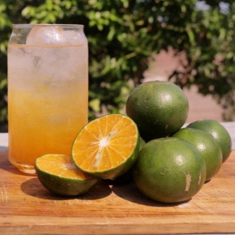 Jual Jeruk peras/ jeruk minuman 1KG | Shopee Indonesia