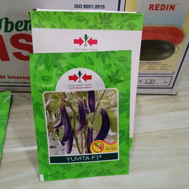 Jual Benih Terong Jumbo Yuvita F1 - Cap Panah Merah, Anti Virus Layu Fusarium Busuk batang isi ...