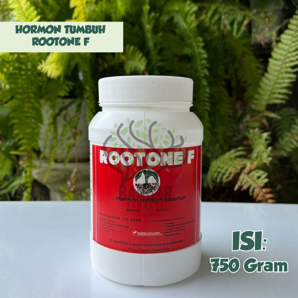 Jual ROOTONE F 750 Gram Vitamin Hormon ZPT Akar Untuk Stek Cangkok ...