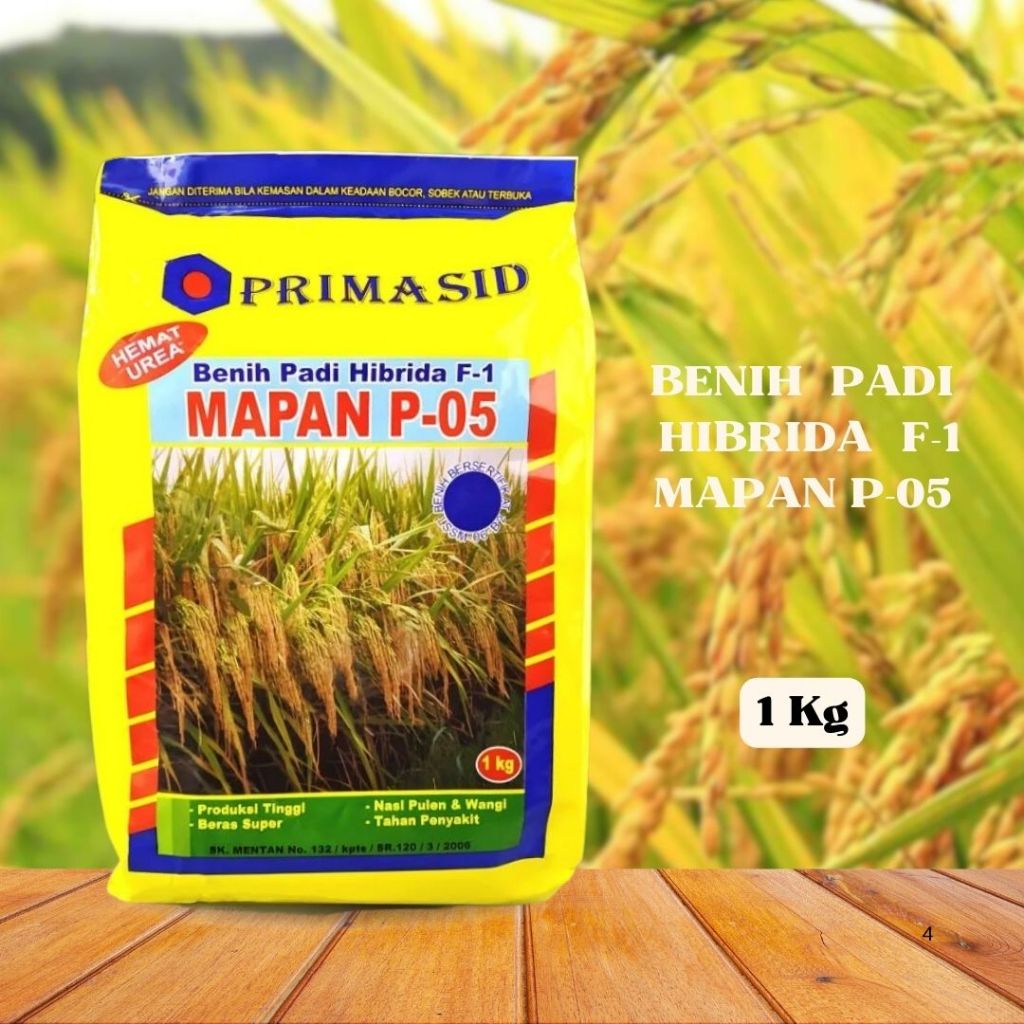 Jual MAPAN P-05 - 1kg ( benih padi hibrida) | Shopee Indonesia