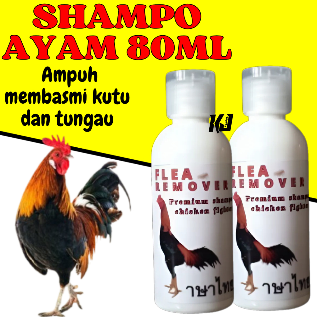 Jual SAMPO AYAM ADUAN ORIGINAL AYAM HIAS BURUNG MERPATI ANTI KUTU ...