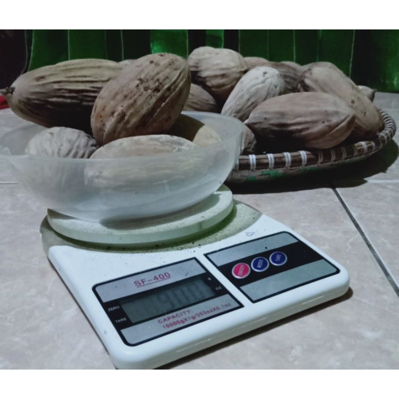 Jual buah biji ulin asli pedalaman Kalimantan (800-900 gram) | Shopee ...