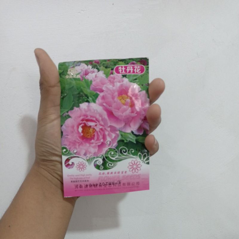 Jual benih bunga peoni asli kemasan pabrik | Shopee Indonesia