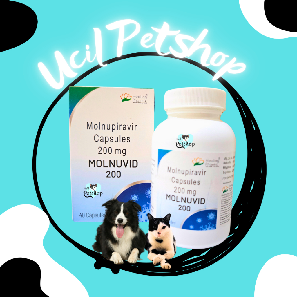 Jual Molnupiravir Molnuvid 200mg Pengobatan FIP Kucing Cat Fullpack (1 ...