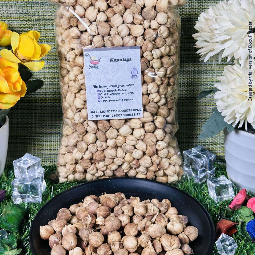 Jual Kapulaga Utuh Kering Super 500 Gram - Rempah Bu Risma | Shopee ...