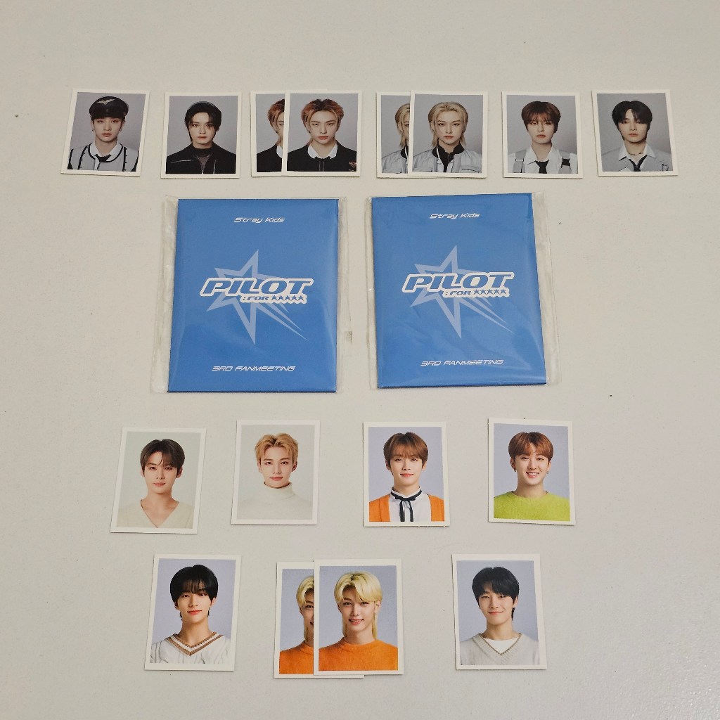 Jual [READY] Stray Kids ID Photo Picture from Merch PILOT Nacific ...