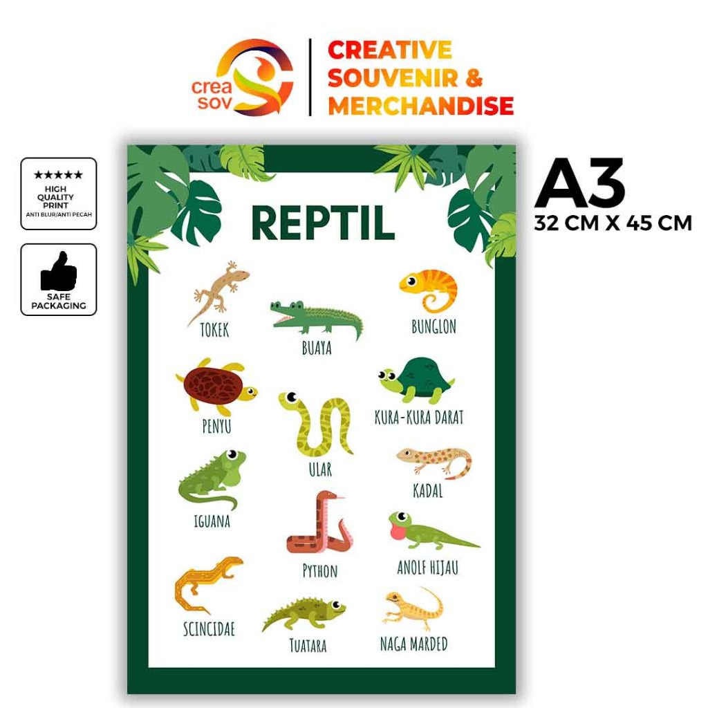 Jual Creasov - Poster Hewan Reptil Poster Edukasi Hewan Poster Reptil Edukasi Anak TK SD 32 x 45 ...