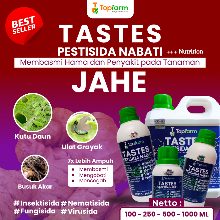 Jual Obat Hama Jahe / Obat Hama Pada Daun Jahe Merah / Obat Hama Jamur ...