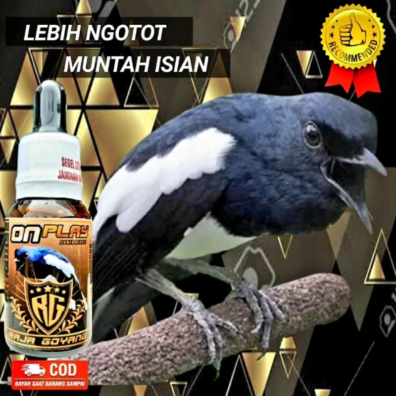 Jual ONPLAY RG,Vitamin kacer,Kacer cepat ngobra,Vitamin kacer cepat ...