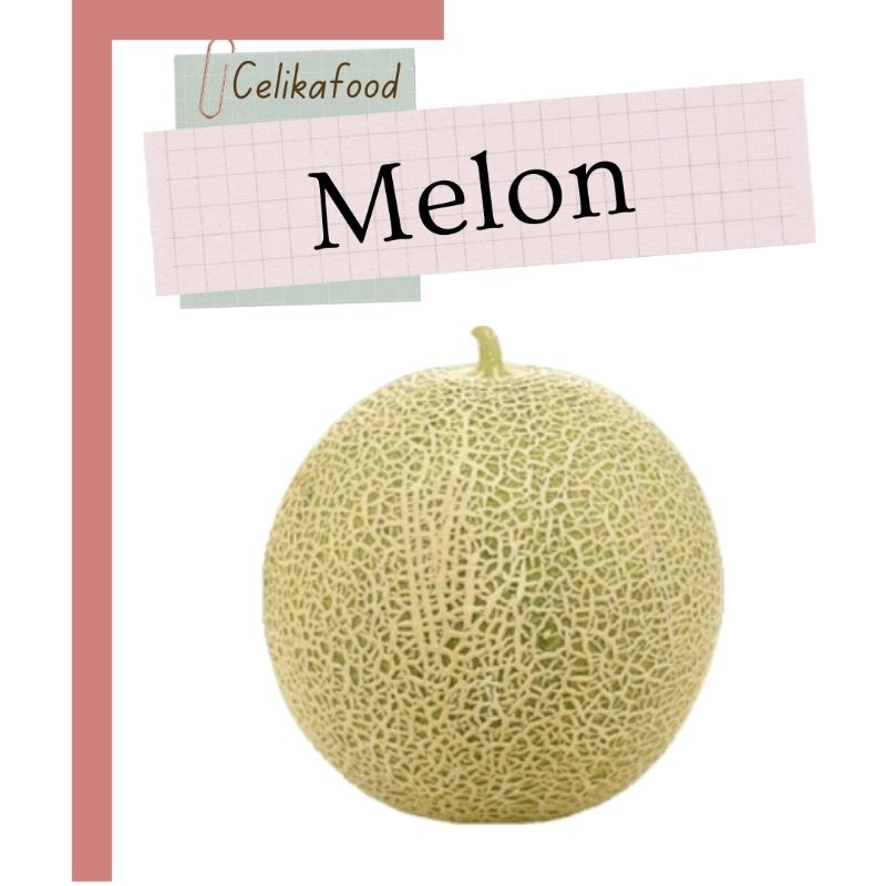 Jual Buah Melon Utuh Fresh Fruit | Shopee Indonesia