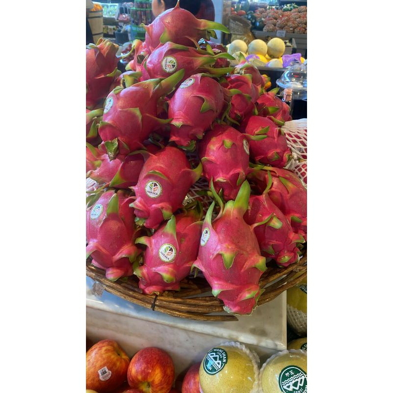 Jual buah naga putih/ 1kg | Shopee Indonesia