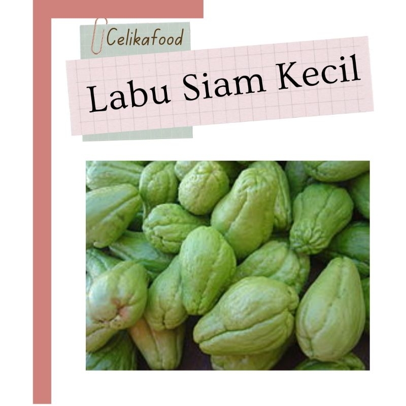 Jual Labu Siam Kecil 250gr Waluh Jipang Lalap Lalaban Sayur Sayuran ...