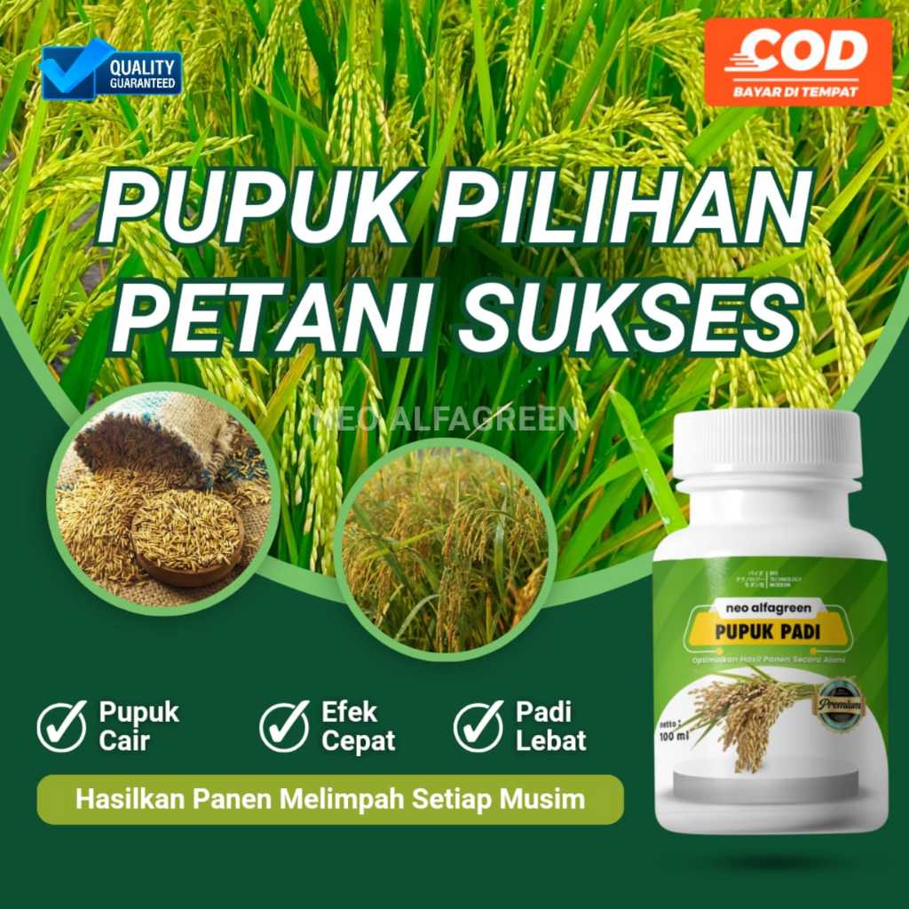Jual Pupuk Hayati Padi Sehat Perlindungan Efektif dari Penyakit dan ...
