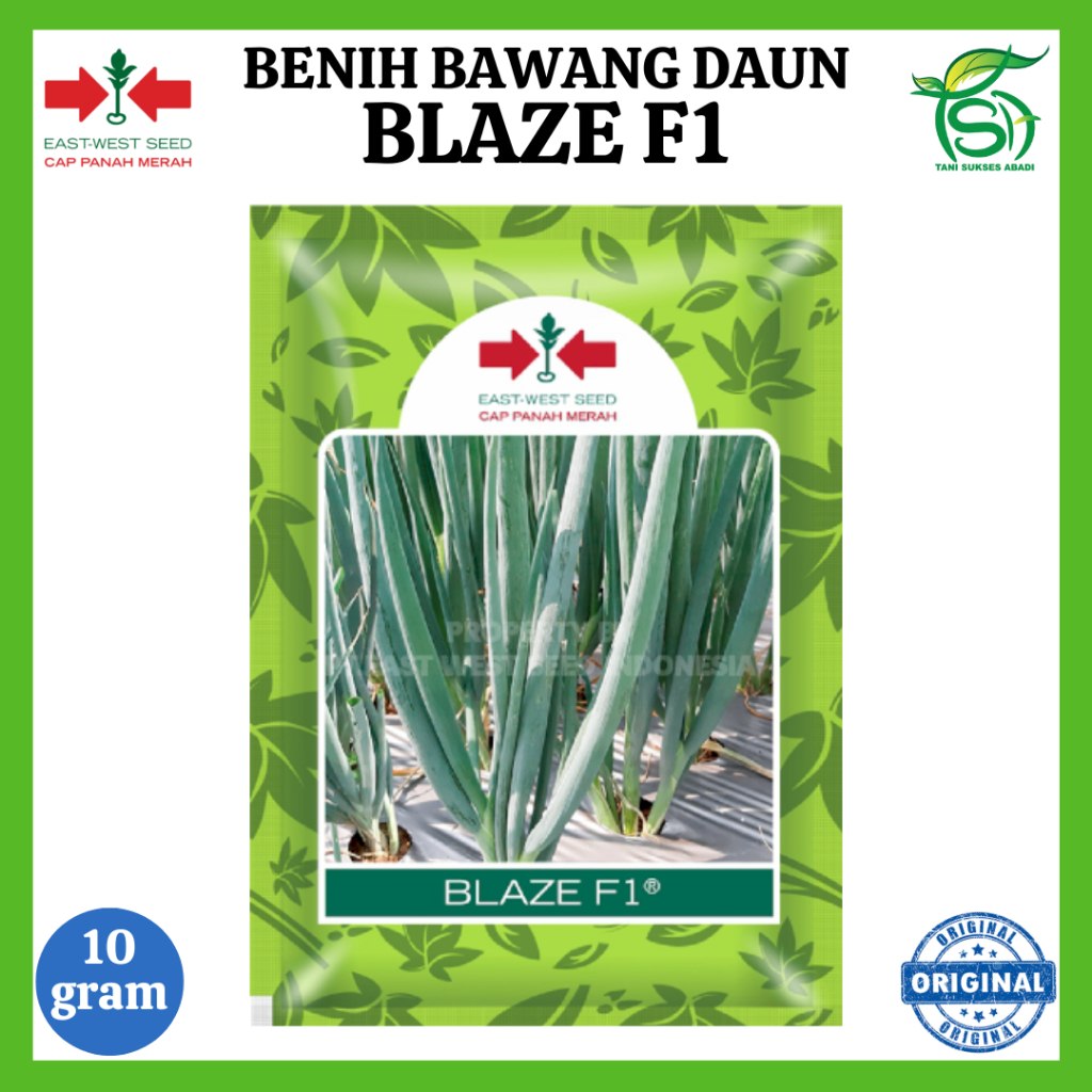 Jual Benih Bawang Daun BLAZE F1 (10 Gram) - Bibit Brambang Pre Cap ...
