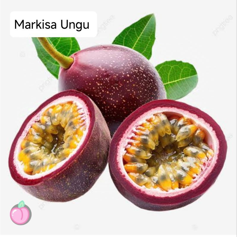 Jual Benih Markisa Ungu Super Manis ( 10 benih ) | Shopee Indonesia