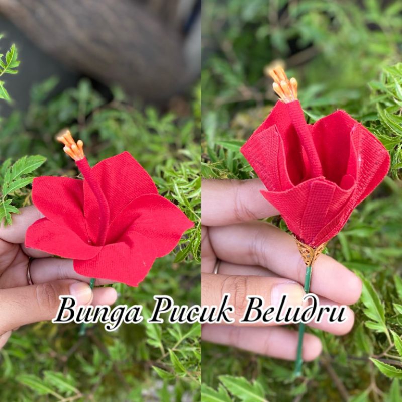 Jual bunga pucuk beludru | Shopee Indonesia