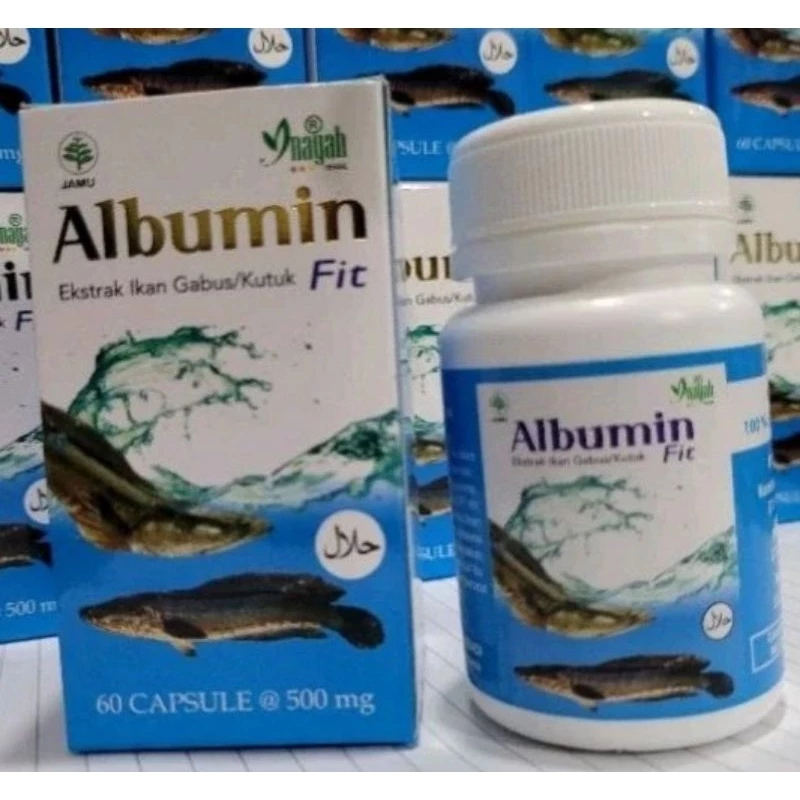 Jual Ekstrak Ikan Gabus 60 kapsul Albumin Fit | Shopee Indonesia