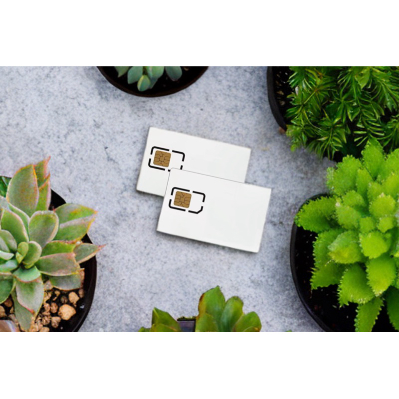 Jual WHITE CARD Sim Sticker QPE-Esim Mode for DUAL SIM SLOT [Support ...