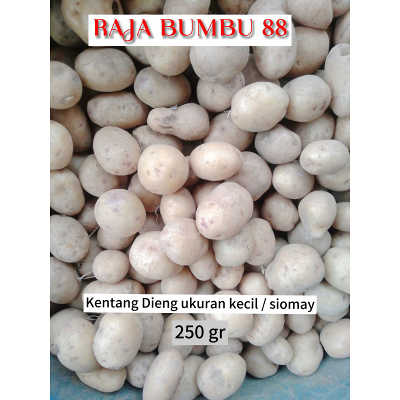 Jual KENTANG DIENG ukuran kecil2 / KENTANG SOMAY 250 gr | Shopee Indonesia