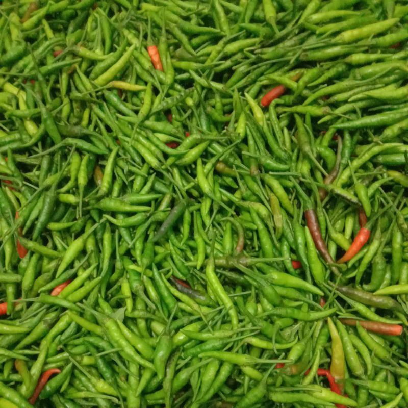 Jual obral cabe cabai rawit hijau gorengan 1kg | Shopee Indonesia