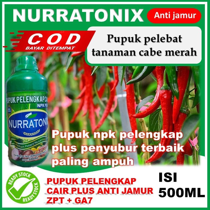 Jual Pupuk Npk Anti Jamur Zpt Plus Ga7 Pupuk Pelebat Tanaman cabai merah Terbaik – Pupuk ...