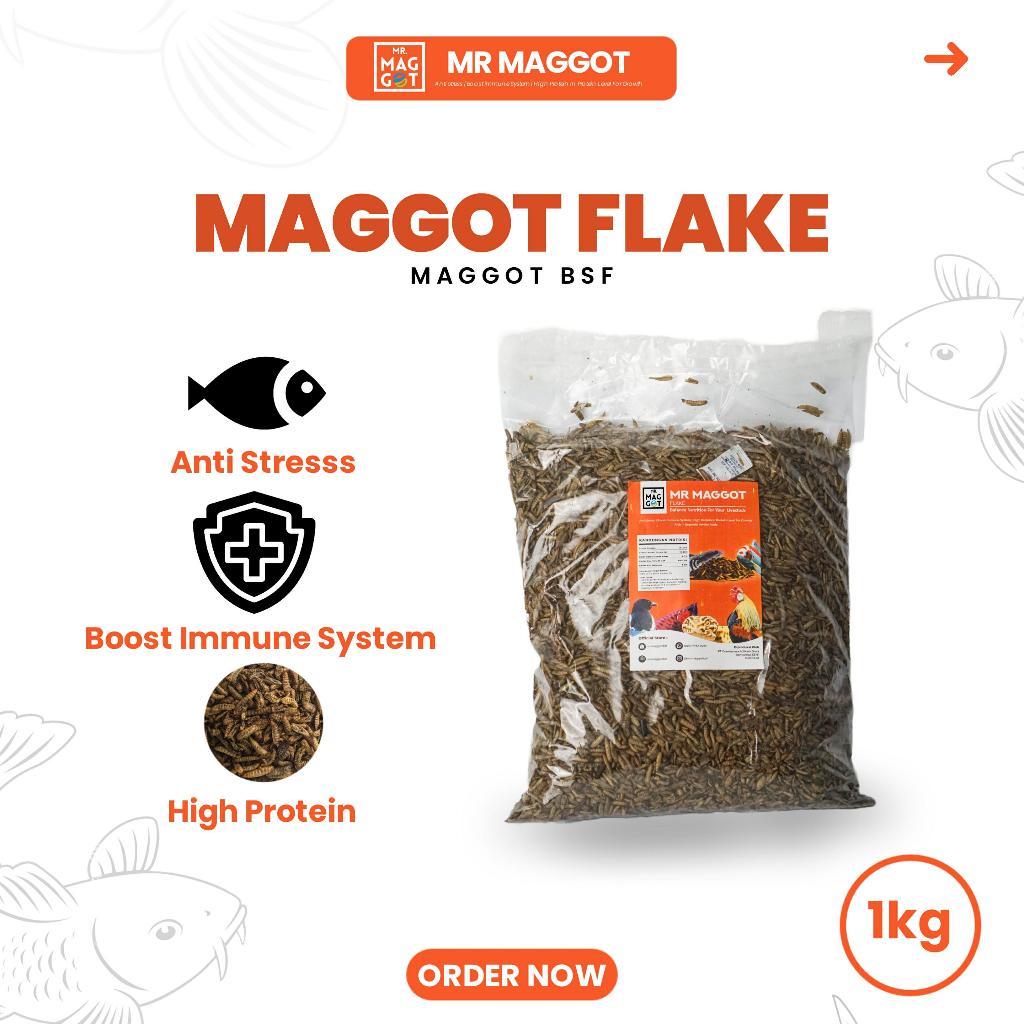 Jual MR MAGGOT - Dried Maggot BSF Flake | Pakan Ikan/ Burung/ Ayam ...