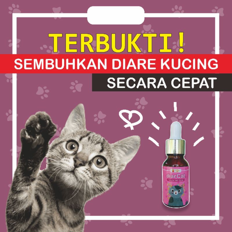 Jual Diarcat Obat Diare Mencret Kucing | Shopee Indonesia